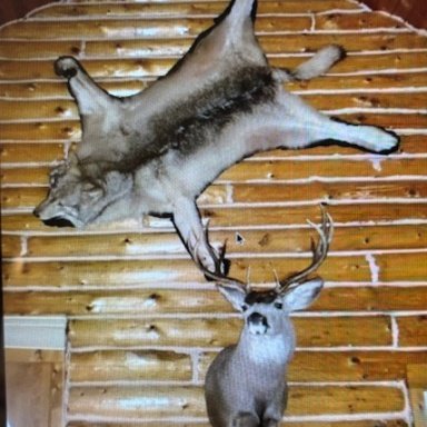 Sporting Clays | Page 4 | Nodak Angler