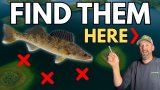 How to Find Walleyes in ANY Lake at ANY Time of Year (5 Easy Steps ...
