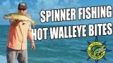How To Fish A Spinner Rig and Bottom Bouncer | Nodak Angler