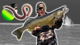Fishing Night Crawler Harness Technique for MONSTER WALLEYE! | Nodak Angler