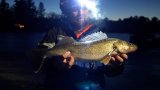 Tip Up SECRETS to Catch More Fish! | Nodak Angler