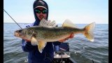 Spring Walleye Beatdown on NEW Bladed Walleye Jig | Nodak Angler