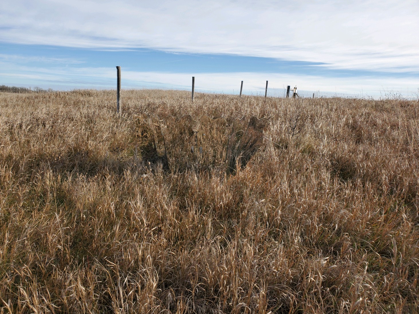 20231117_100106.jpg | Nodak Angler