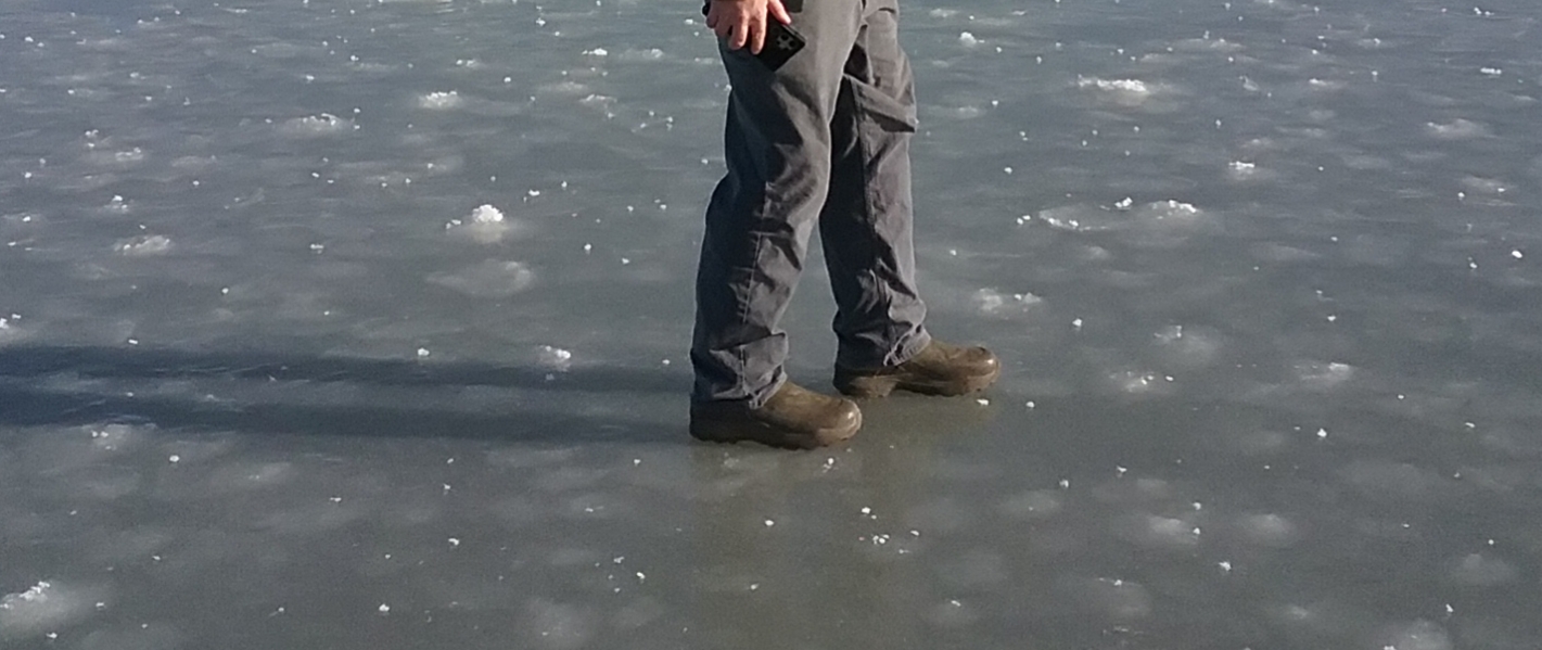 20241126_115829.jpg | Nodak Angler