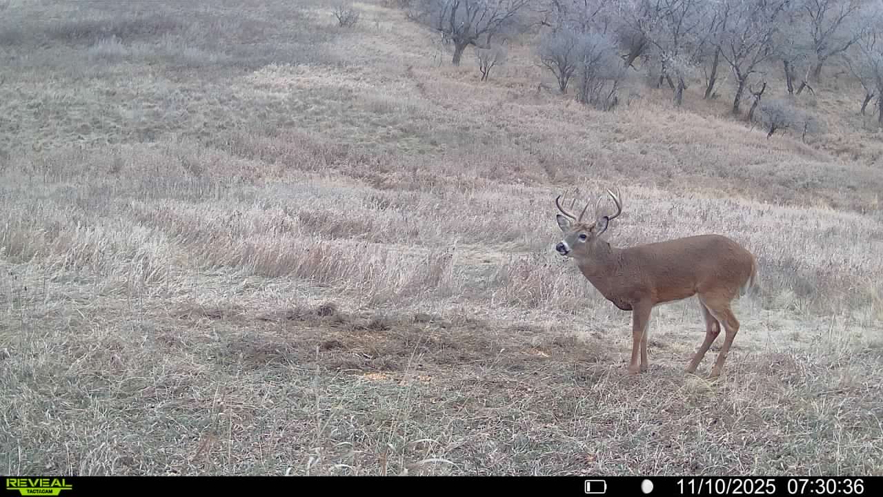 big 7.jpg | Nodak Angler