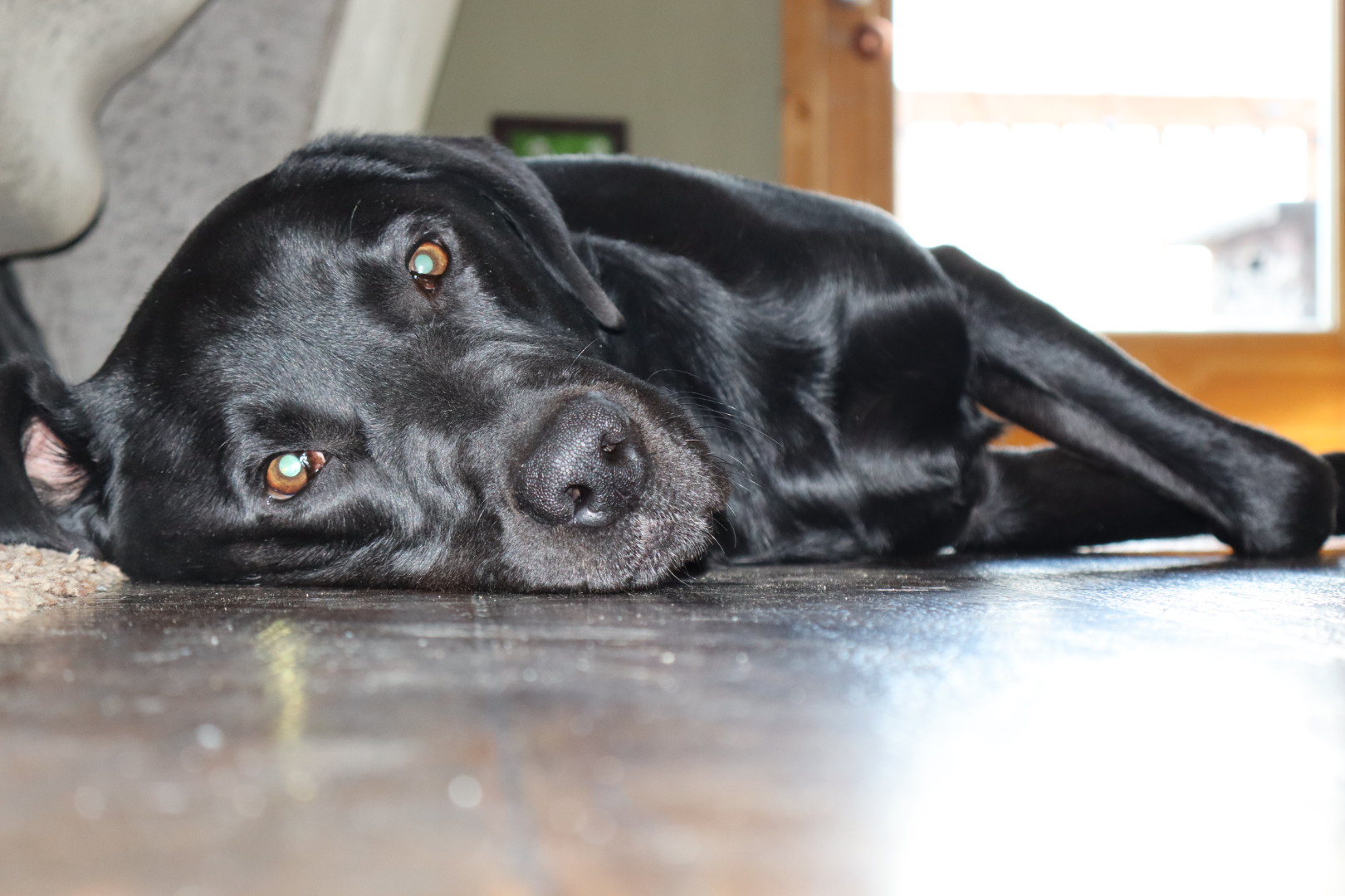 IMG_1892.jpeg | Nodak Angler