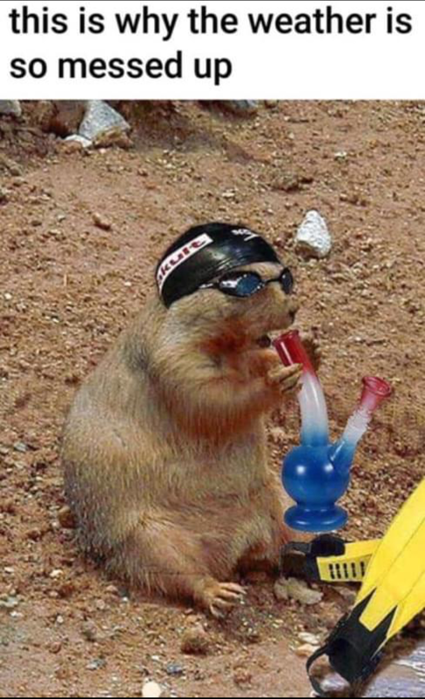 IMG_3831.jpeg | Nodak Angler