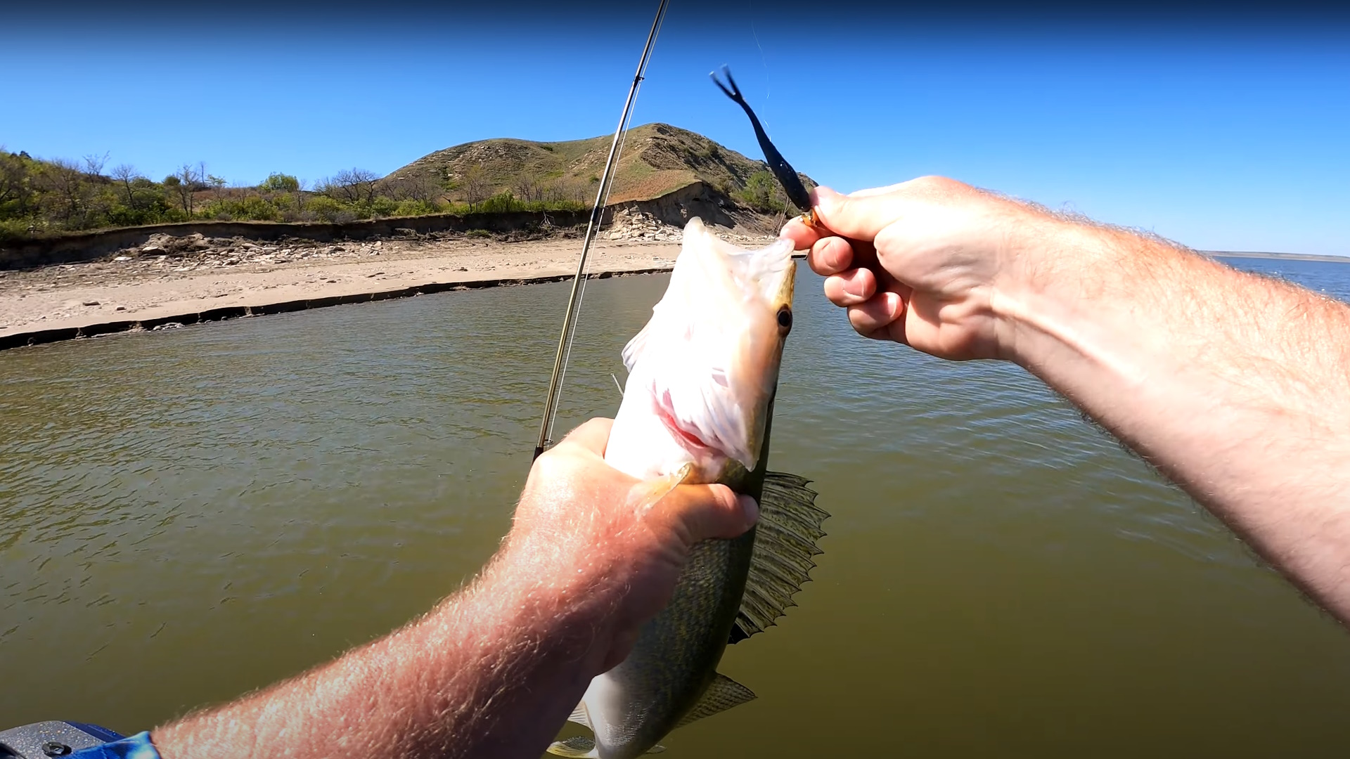 jig.jpg | Nodak Angler