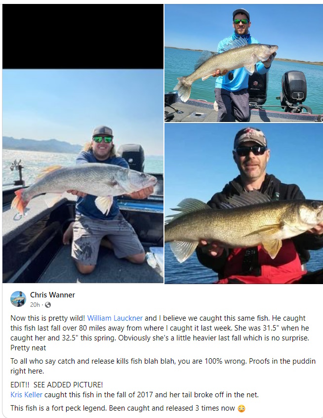 Untitled.jpg | Nodak Angler